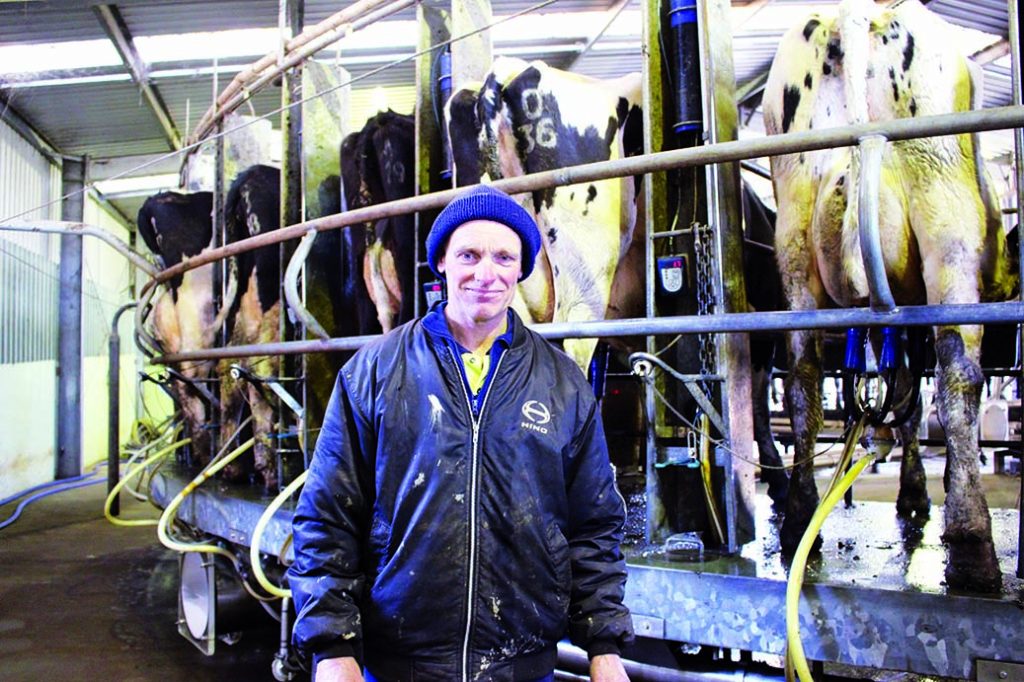 How Lactalis Australia Gets Milk From Cow To Cup » Lactalis Foodservice