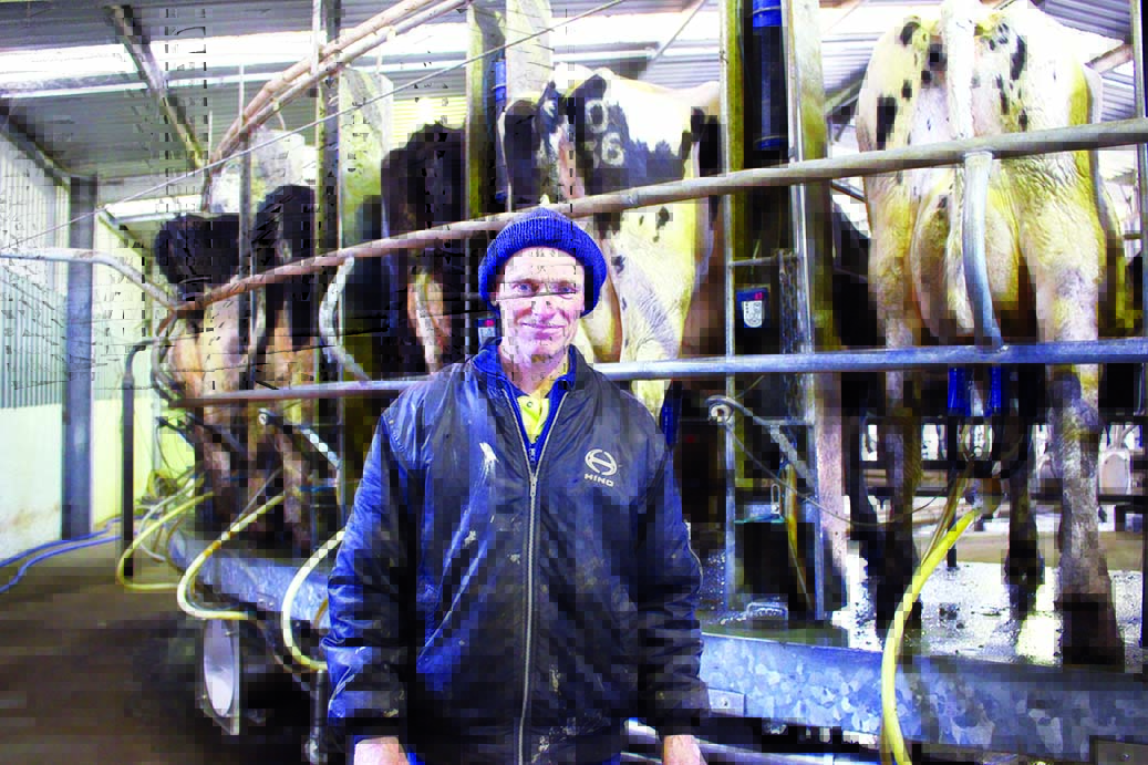 How Lactalis Australia Gets Milk From Cow To Cup » Lactalis Foodservice